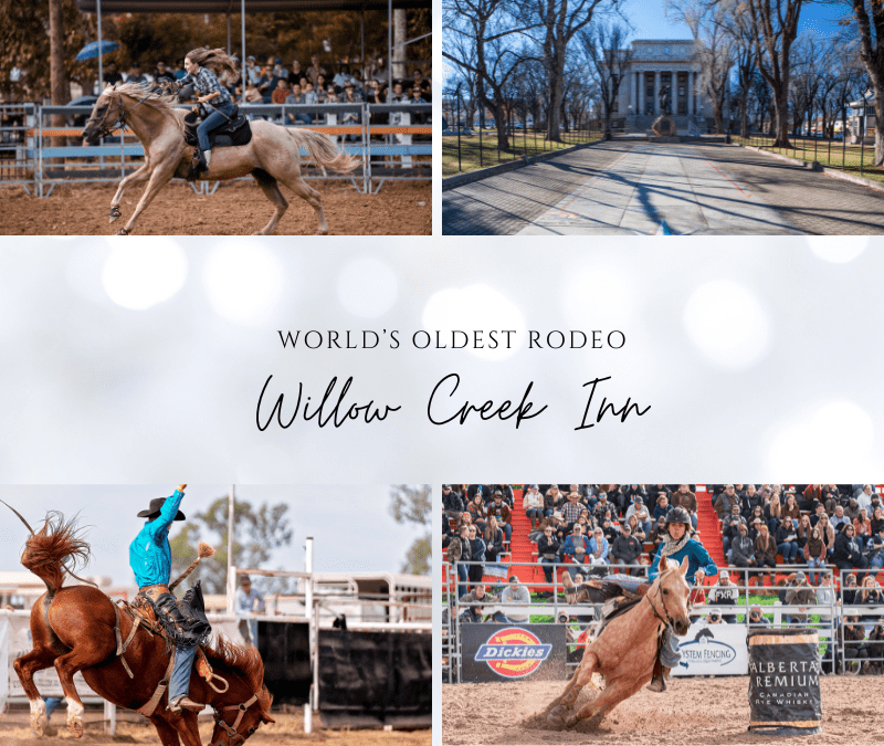 Create Your Timeless Love Story at Willow Creek Inn: Prescott’s Romance ...